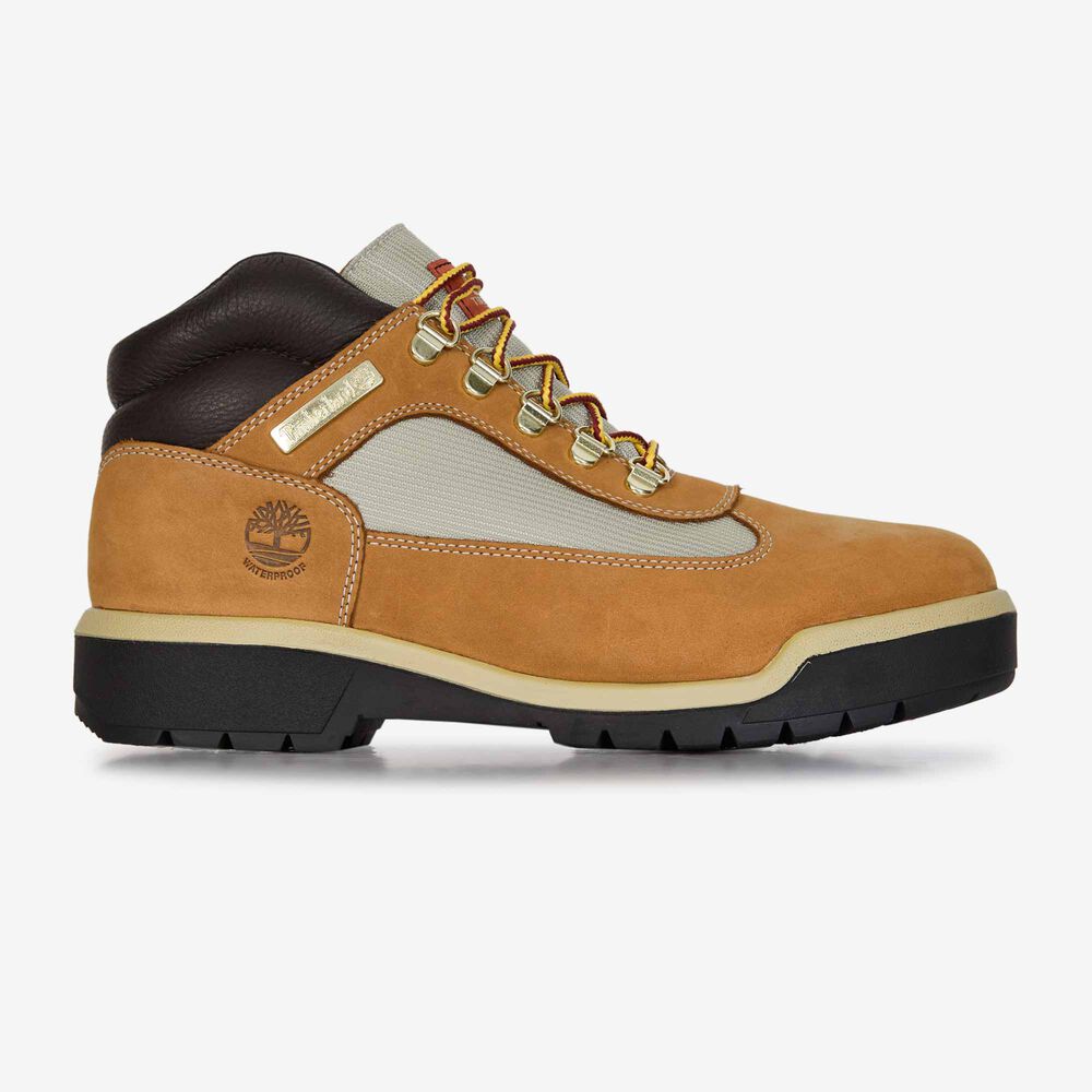 TIMBERLAND FIELD BOOT SNEAKERS HOMME - MIEL - LACETS | Courir.com